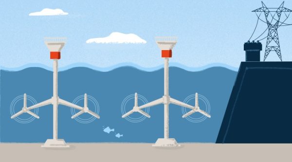 Energía Mareomotriz: Qué es, cómo funciona y ventajas | Nedgia